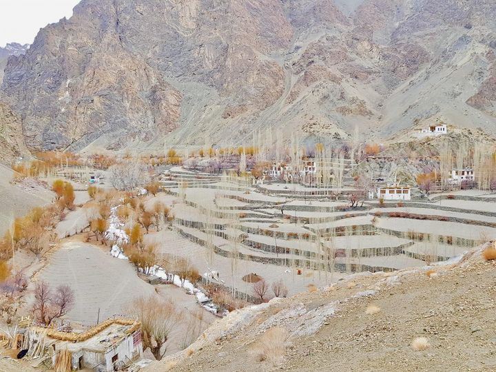 Best Farmstay in Ladakh - Tar Village - Tar Farmstay